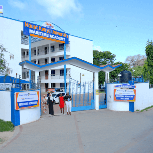 Mount Kenya University Academic Programmes